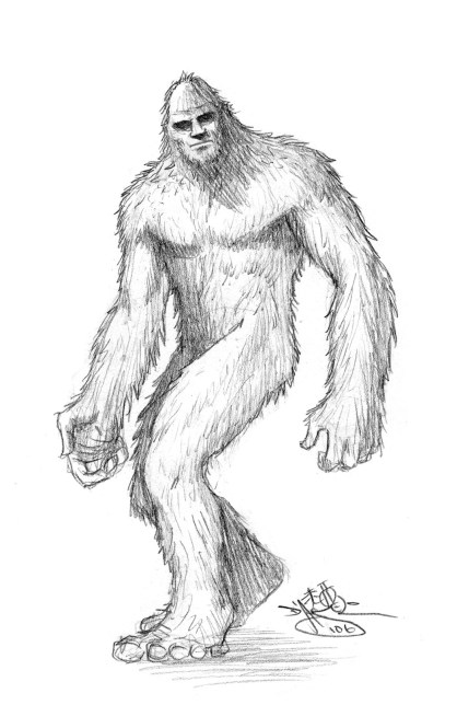 THE SASQUATCH PEOPLE | AND THEIR INTERDIMENSIONAL CONNECTION
